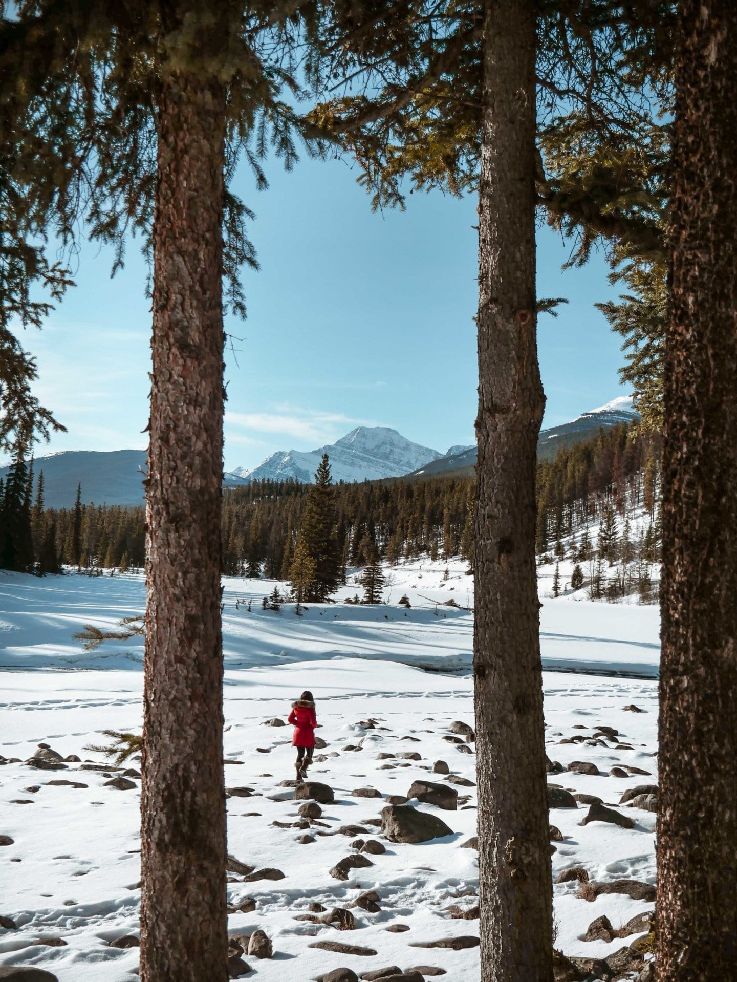 How To Plan The Perfect Road Trip | Go Live Explore