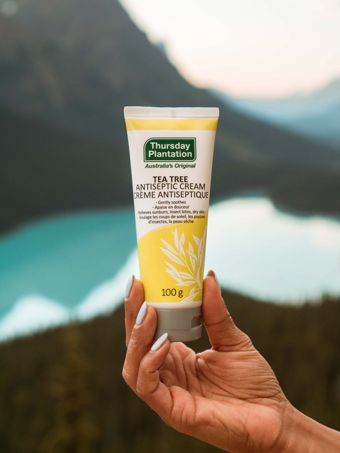 7 Benefits Of Tea Tree Oil You Might Not Know - Go Live Explore