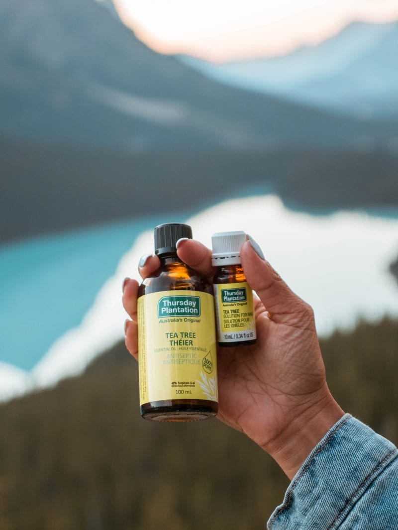 7 Benefits Of Tea Tree Oil You Might Not Know - Go Live Explore