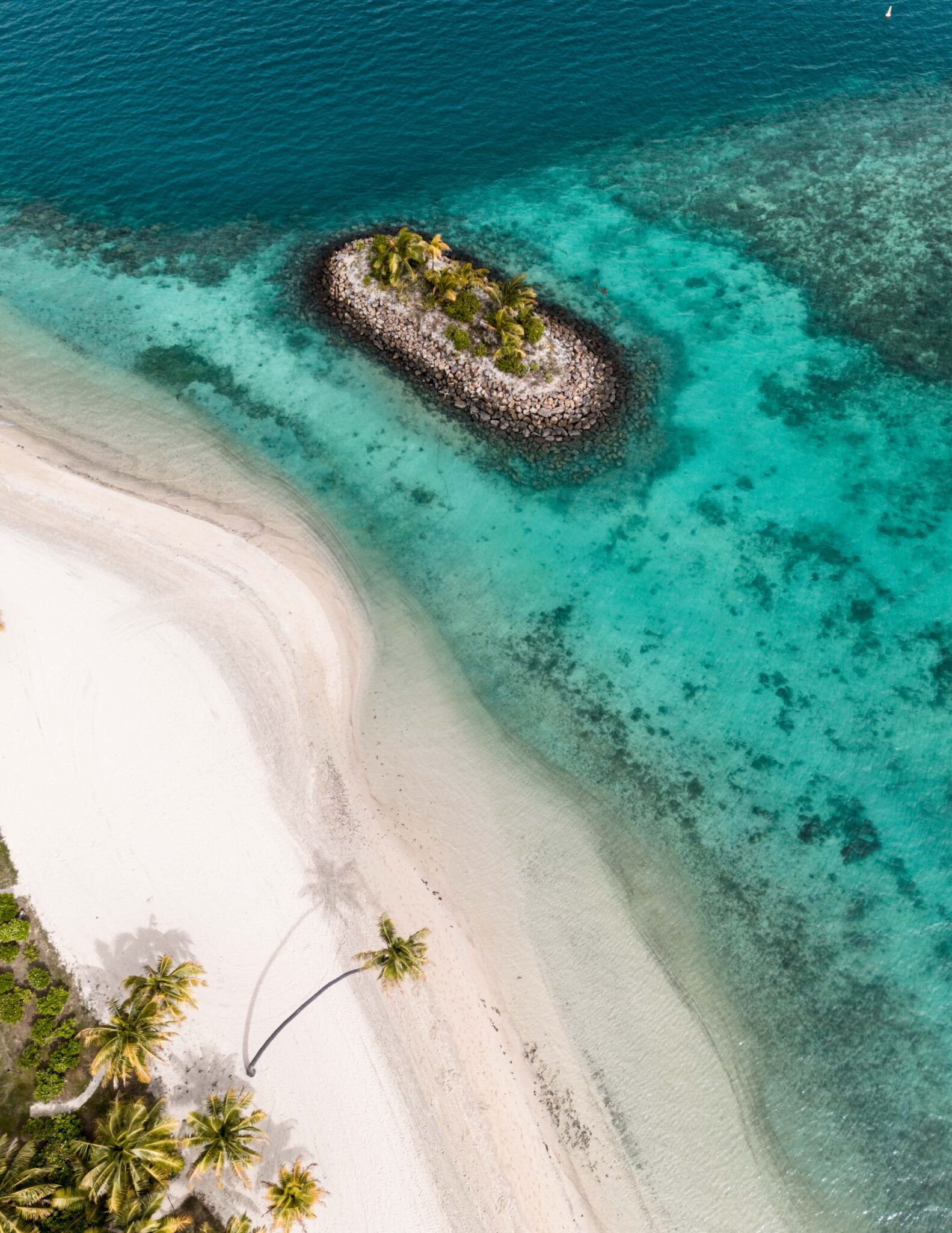 Fiji Travel Guide | 14 Days In Fiji Itinerary - Go Live Explore