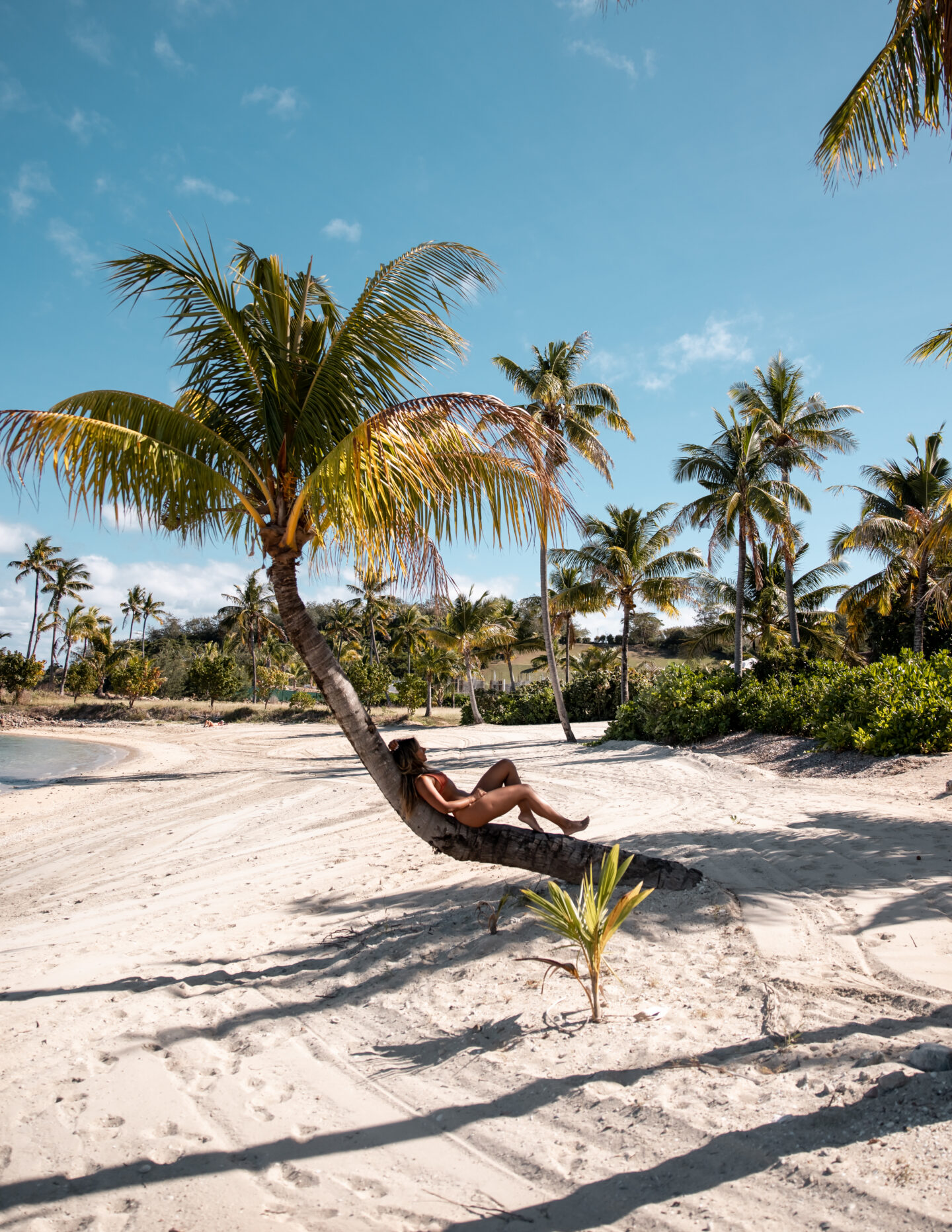 Fiji Travel Guide | 14 Days In Fiji Itinerary - Go Live Explore