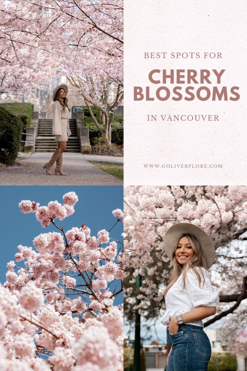Best Spots To See Cherry Blossoms In Vancouver