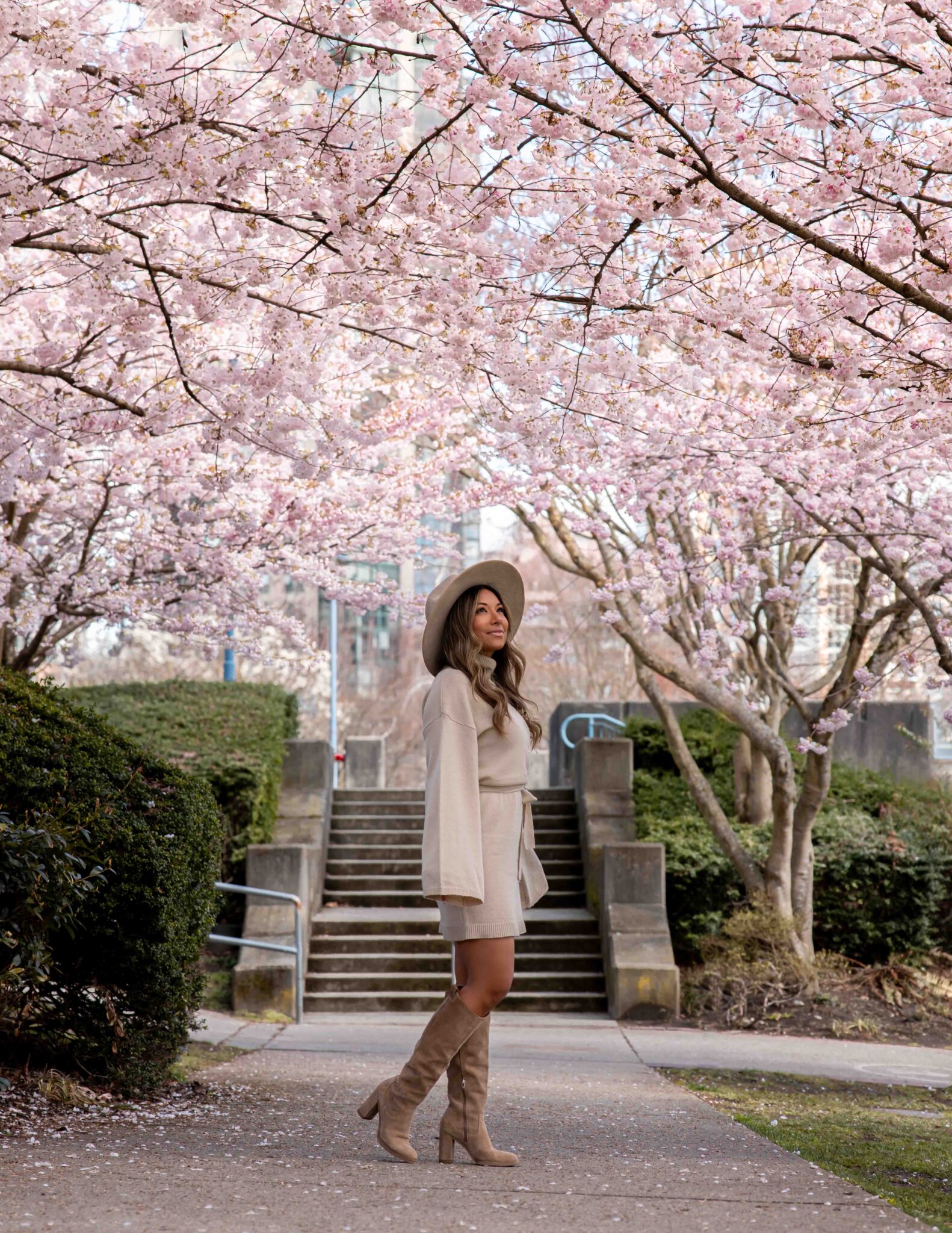Best Spots To See Cherry Blossoms In Vancouver